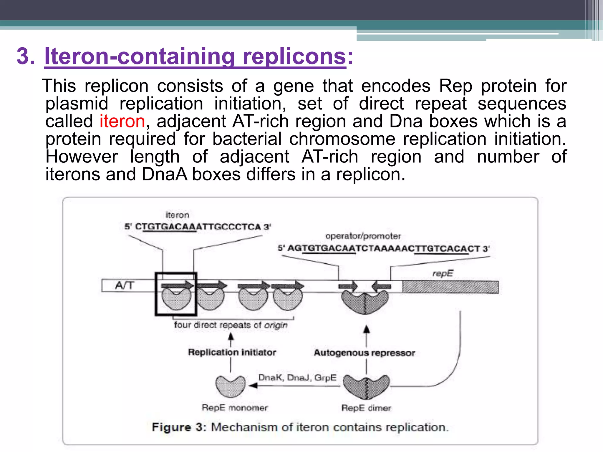 Plasmid | PPTX