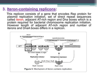 Plasmid | PPTX