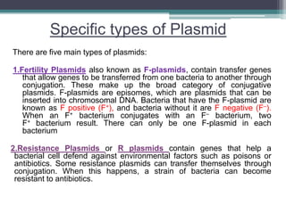 Plasmid | PPTX