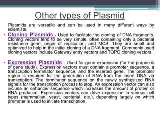 Plasmid | PPTX | Biological Sciences | Science