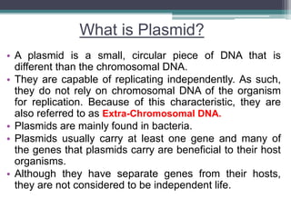 Plasmid | PPTX
