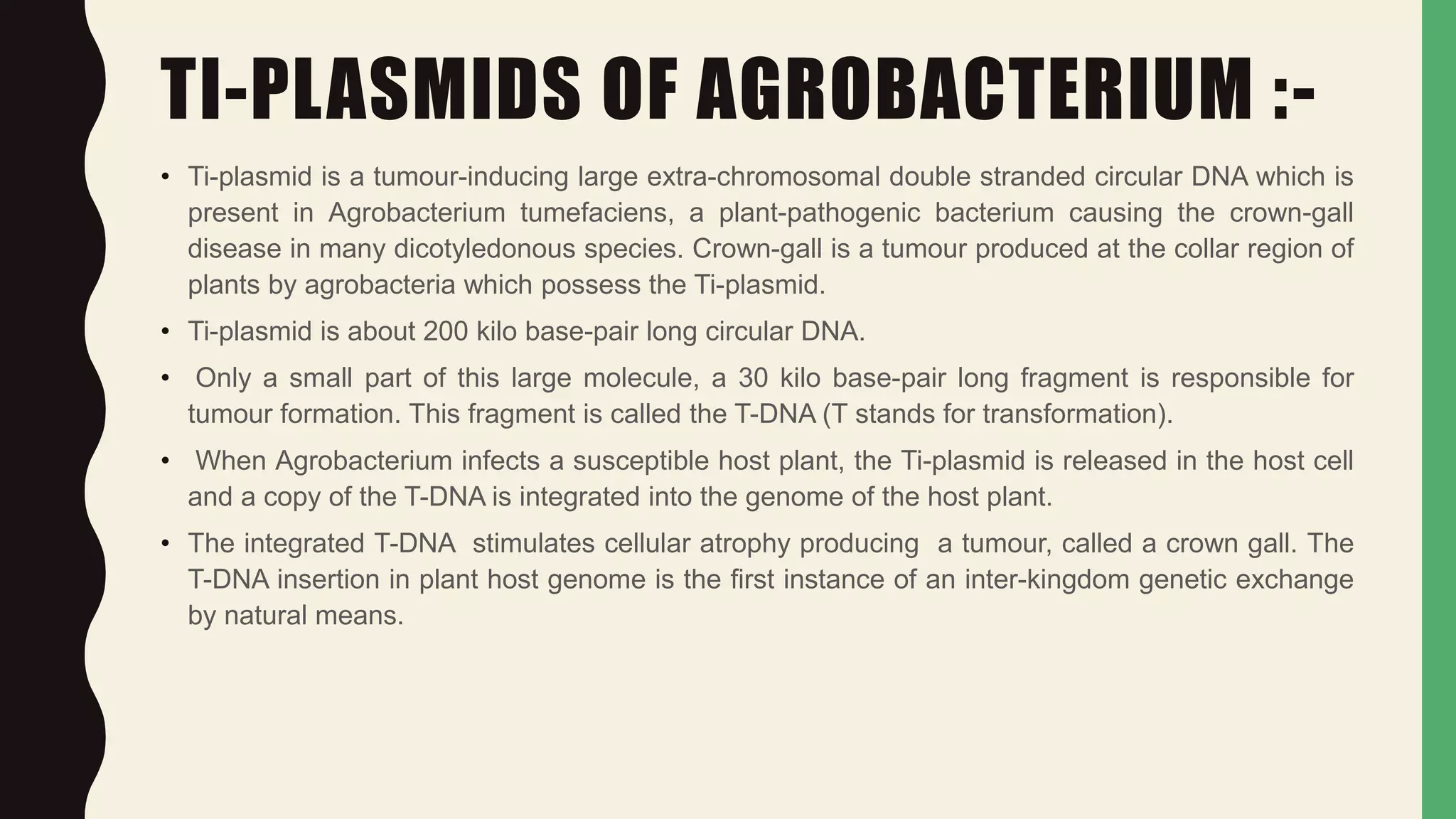 Plasmids | PPTX