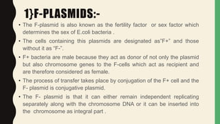 Plasmids | PPTX