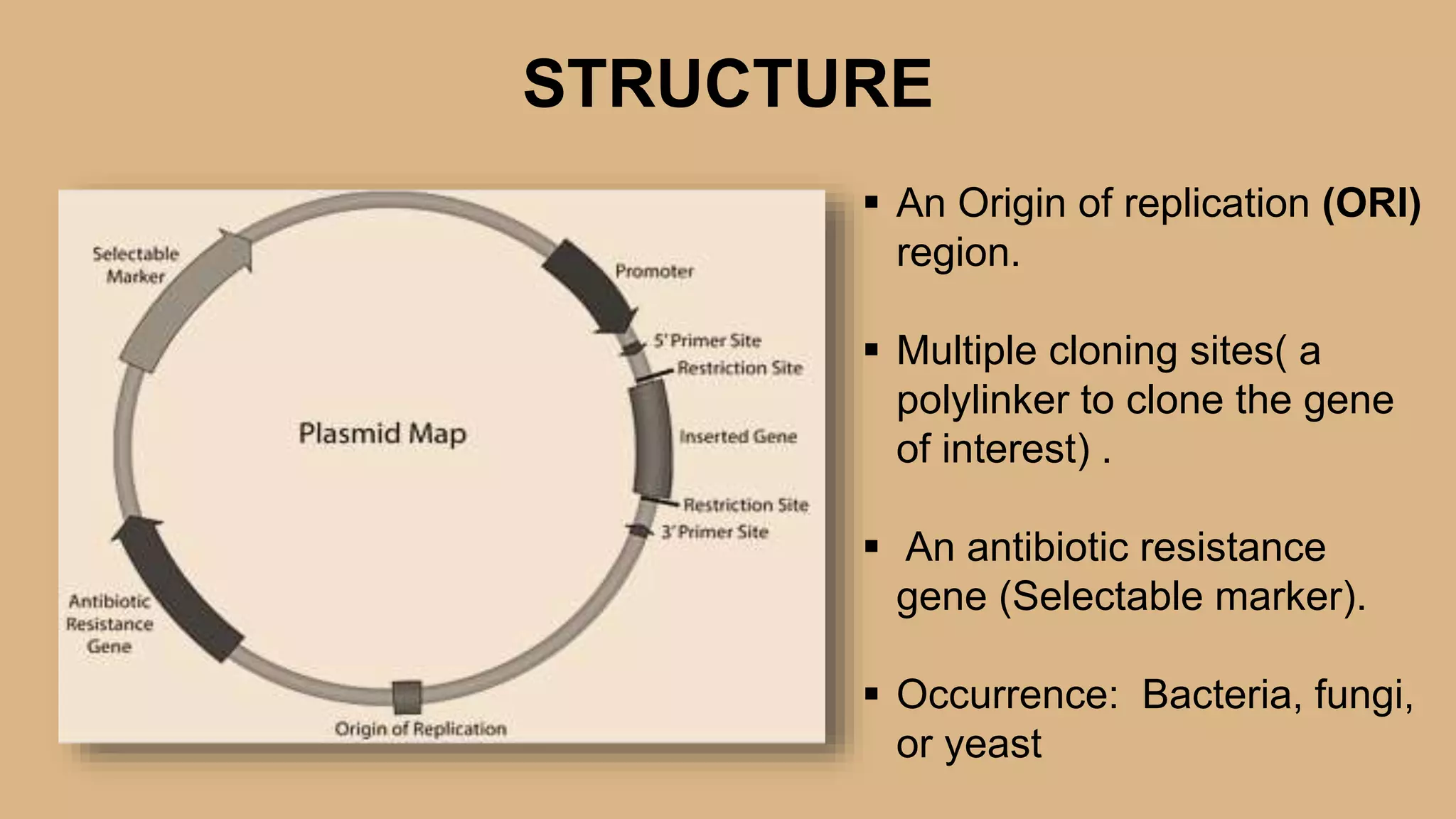 Plasmids and its types | PPTX