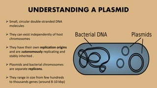 Plasmids and its types | PPTX