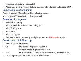 Plasmids(microbiology) | PPTX