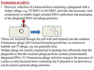 Plasmids(microbiology) | PPTX