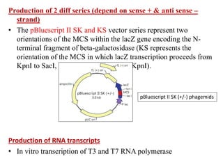 Plasmids(microbiology) | PPTX