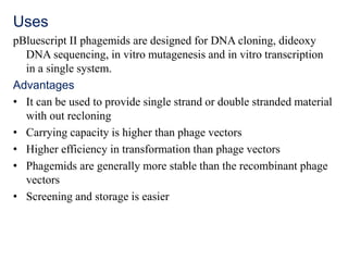 Plasmids(microbiology) | PPTX