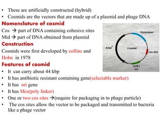 Plasmids(microbiology) | PPTX