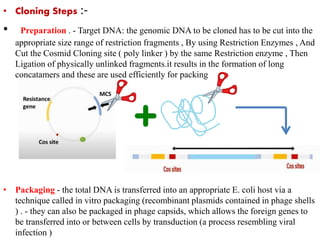 Plasmids(microbiology) | PPTX