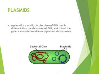 Plasmids | PPT