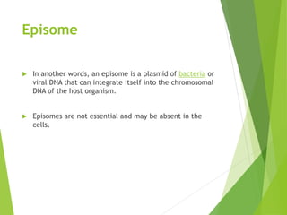 Plasmids | PPT