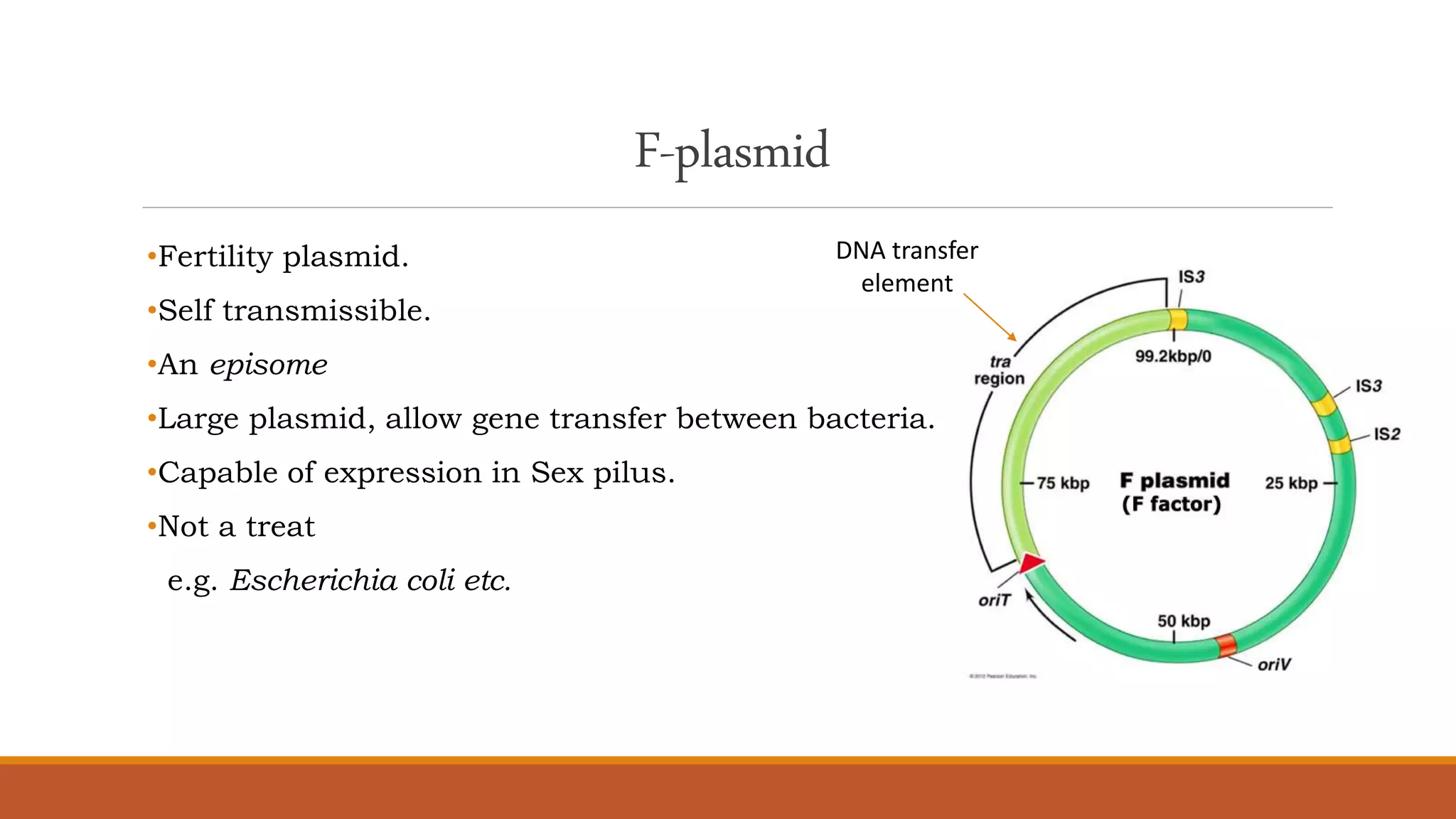Plasmids | PPTX