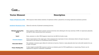 Plasmids | PPTX