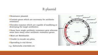 Plasmids | PPTX