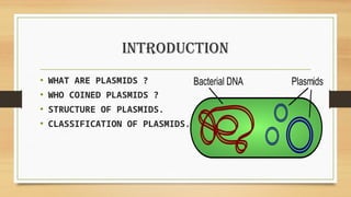PLASMIDS.pptx microbiology biotechnology | PPT