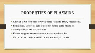 PLASMIDS.pptx microbiology biotechnology | PPTX