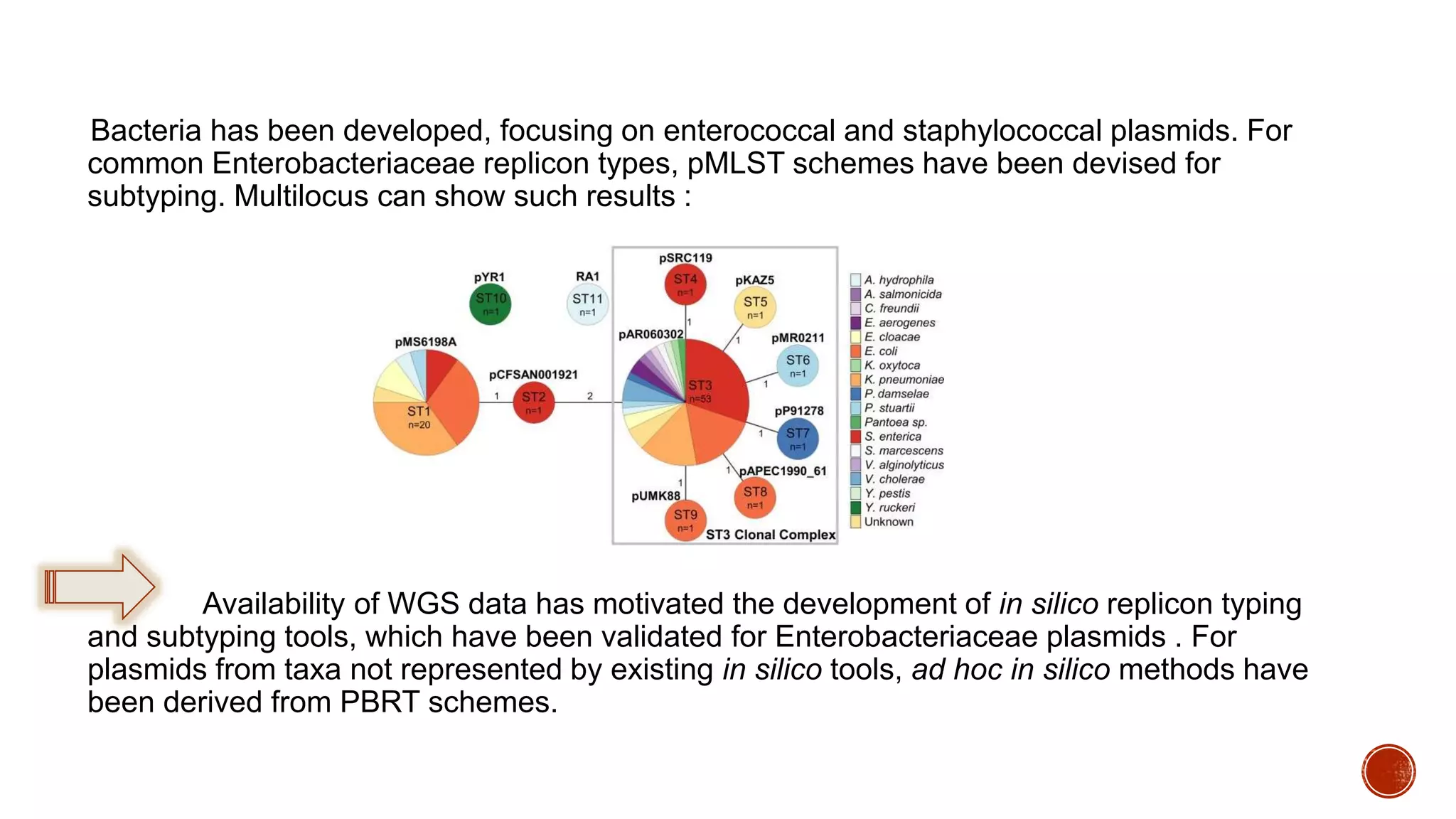 Plasmids and Gel Electrophoresis | PPTX