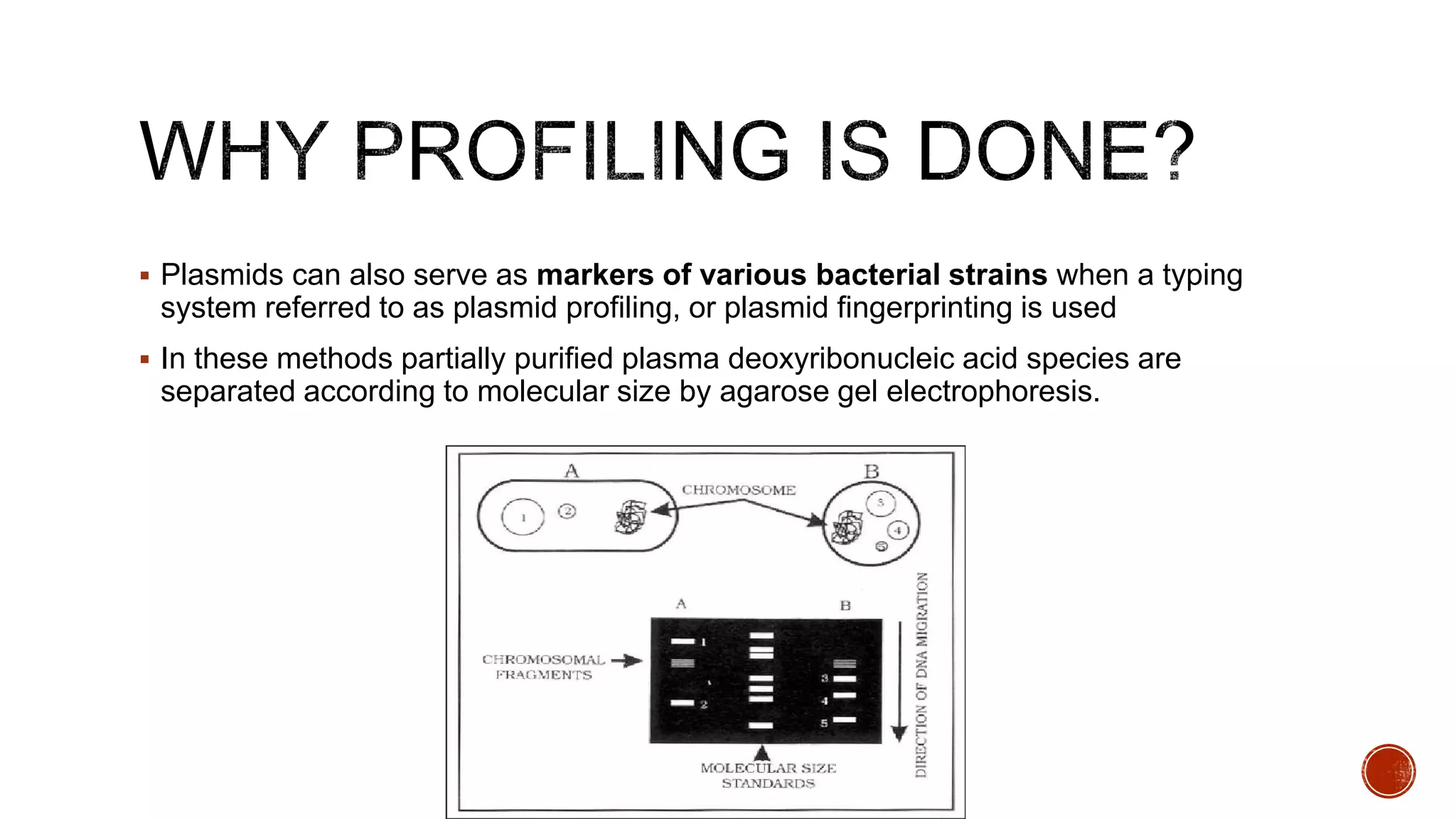 Plasmids and Gel Electrophoresis | PPTX