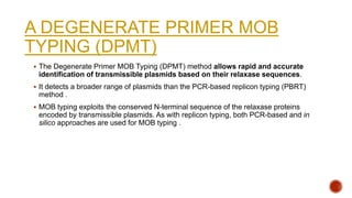 Plasmids and Gel Electrophoresis | PPTX