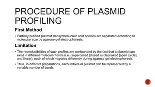 Plasmids and Gel Electrophoresis | PPTX