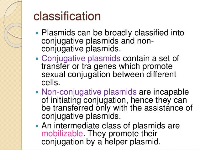 Plasmids and types