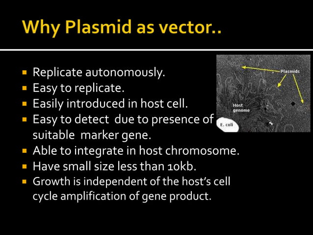Plasmids as vectors | PPTX