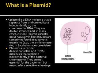Plasmids as vectors | PPTX