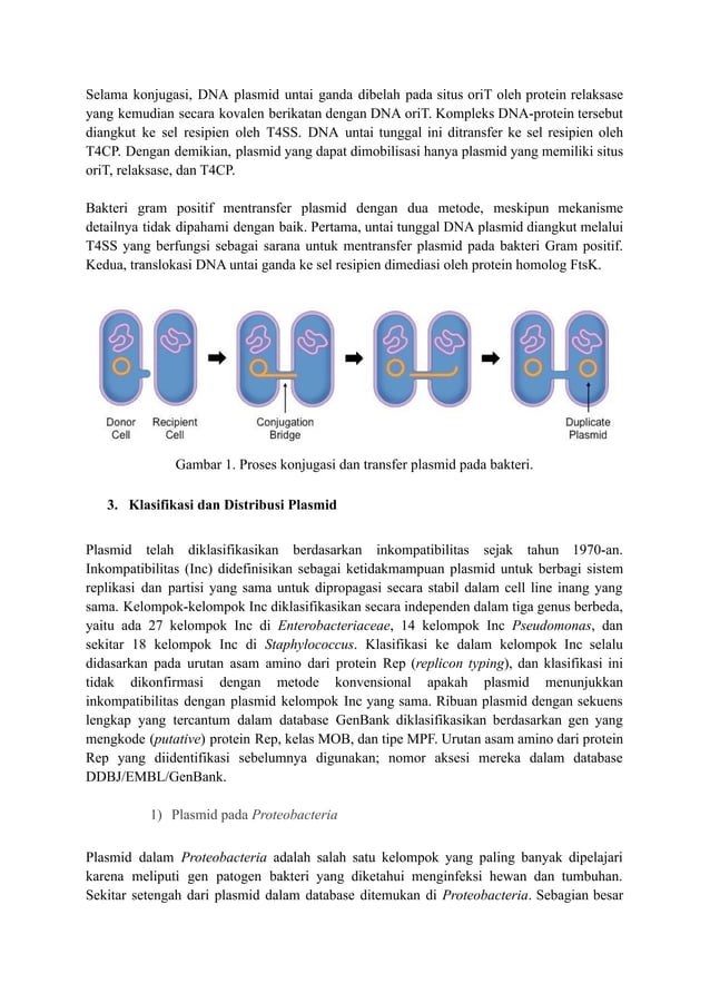 Plasmid sebagai Alat Genetik dan Aplikasi dalam Perkembangan ...