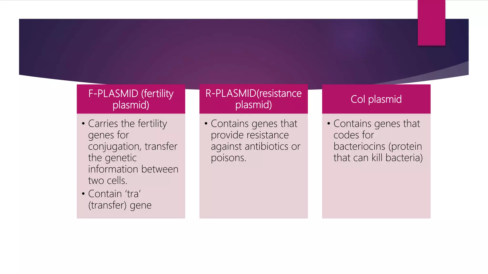 Plasmids | PPTX