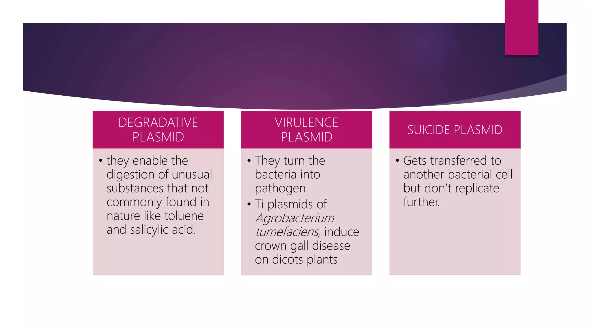 Plasmids Pptx