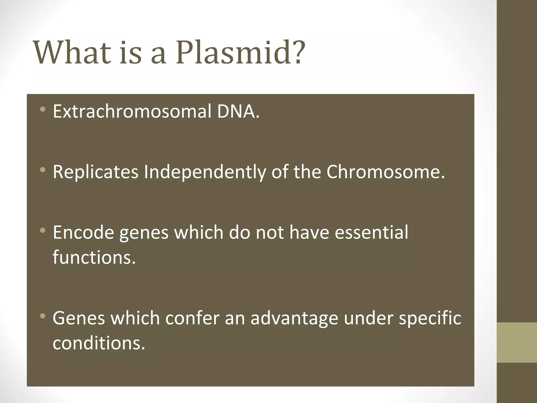 Plasmid DNA | PPT