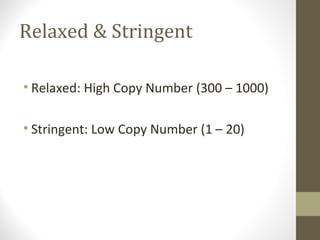 Plasmid DNA | PPT