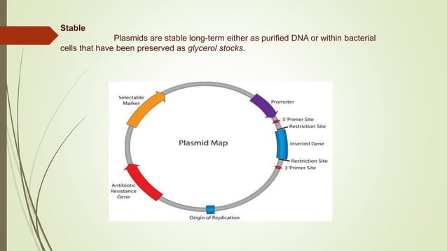Plasmids & Nucleoid | PPTX