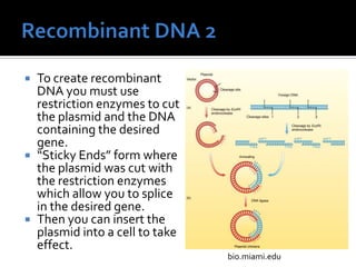 Plasmid technology | PPTX