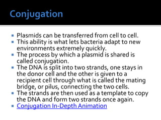 Plasmid technology | PPTX