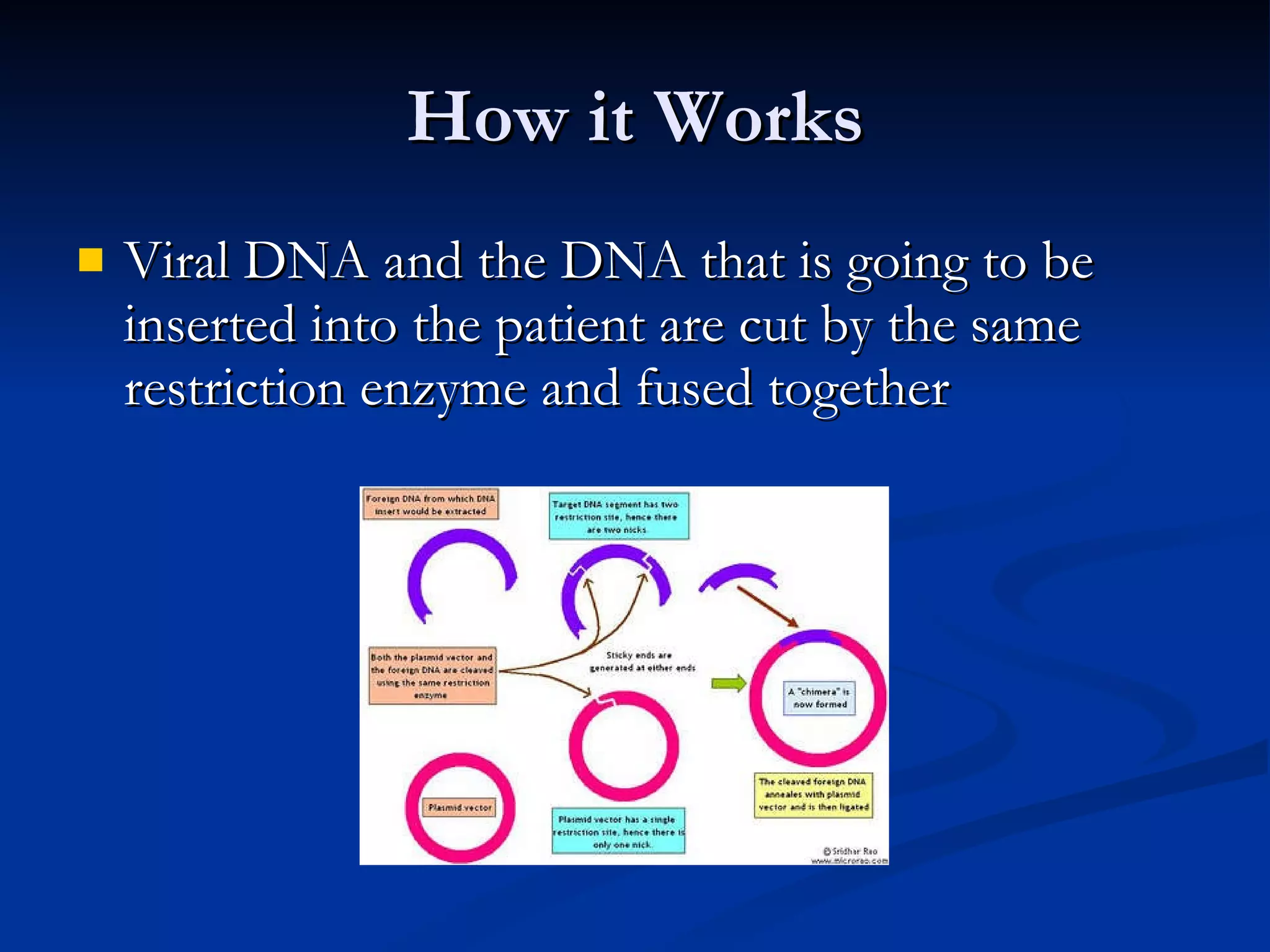 Plasmid technology the vector method pp | PPT | Genetics | Science