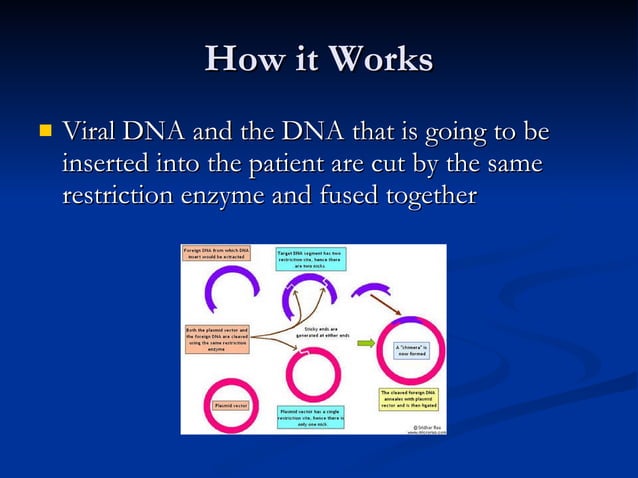 Plasmid technology the vector method pp | PPT | Genetics | Science