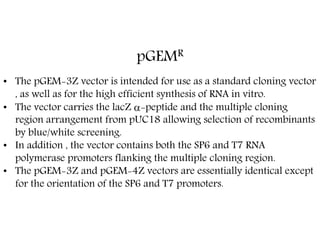 Plasmid Vector.ppt (msc - I).ppt