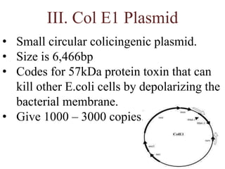 Plasmid Vector.ppt (msc - I).ppt