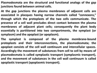 Plasmodesmata | PPTX