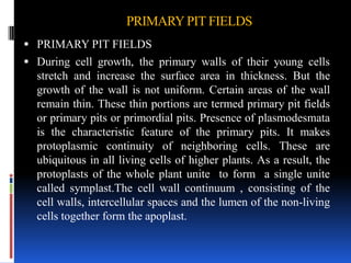Brief Idea on Plasmodesmata & Pit Types in Plants | PDF