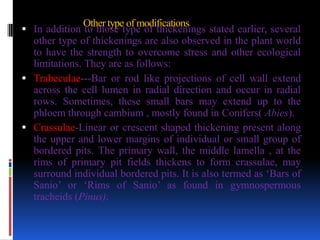 Brief Idea on Plasmodesmata & Pit Types in Plants | PDF | Gardening ...