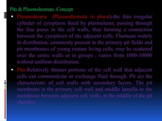 Brief Idea on Plasmodesmata & Pit Types in Plants | PDF