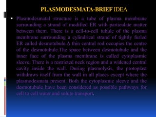 Brief Idea on Plasmodesmata & Pit Types in Plants | PDF