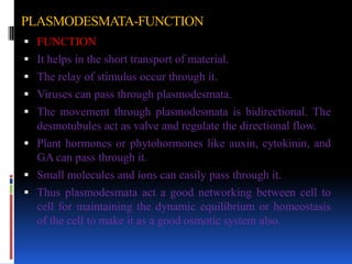 Brief Idea on Plasmodesmata & Pit Types in Plants | PDF