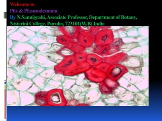 Plasmodesmata & pit | PPT