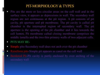Plasmodesmata & pit | PPT