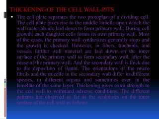 Plasmodesmata & pit | PPT